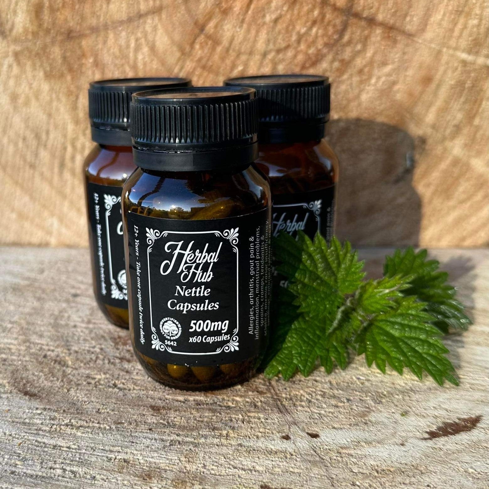 Nettle Capsules - inflammatory conditions 60 Capsules – North Egmont ...